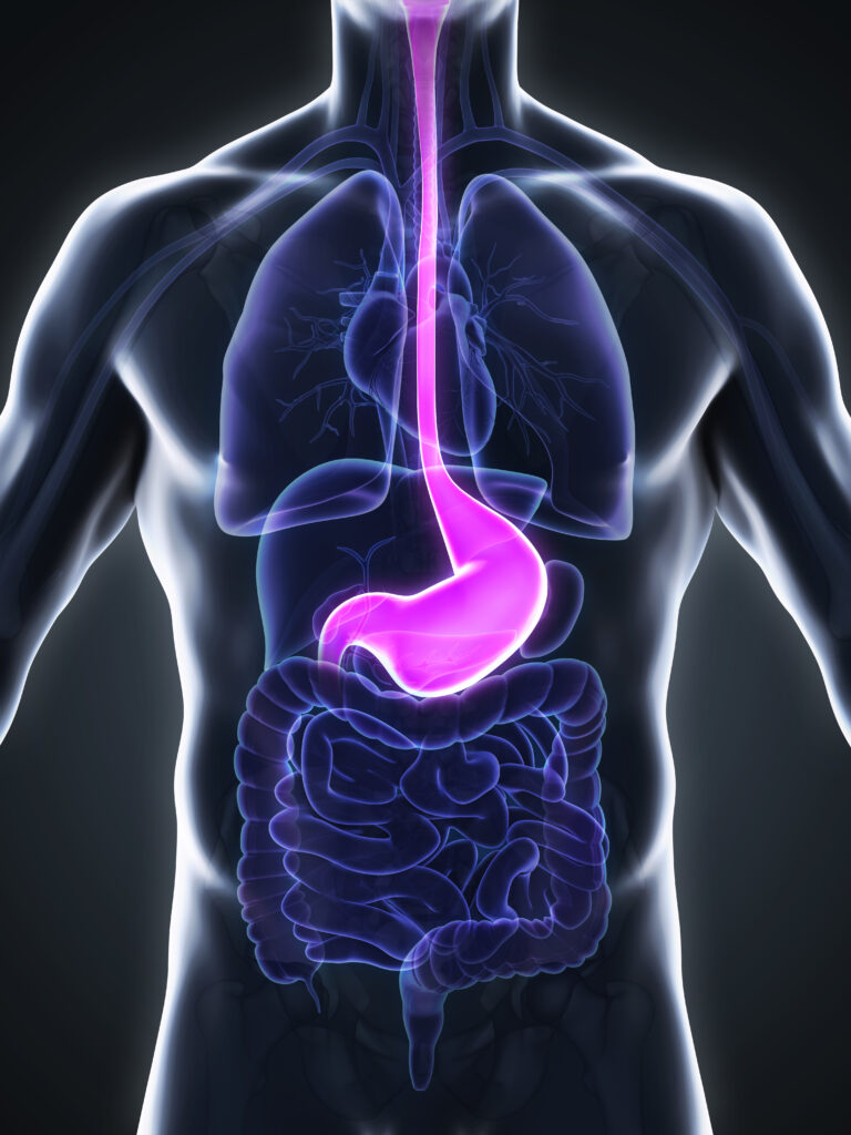 Gastroparesis - EBGCR: Encore Borland Groover Clinical Research